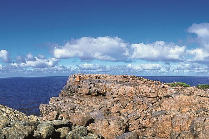 4 Day Albany Margaret River, Valley of the Giants Tour from Perth - What Makes This Tour Stand Out?