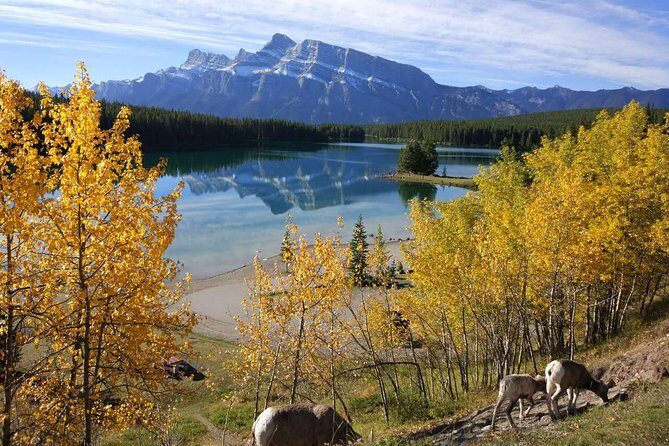 4-Day Banff, Lake Louise, Jasper, Icefield Packaged Tour - Who Would Love This Tour?