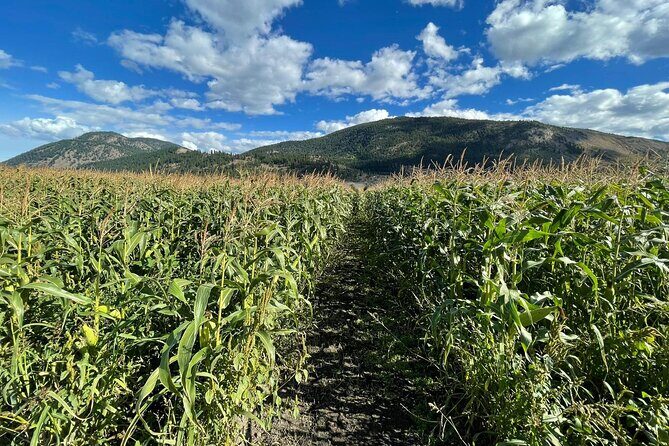 4 Days Canadian Rockies Fall/Spring Tour - Detailed Day-by-Day Breakdown