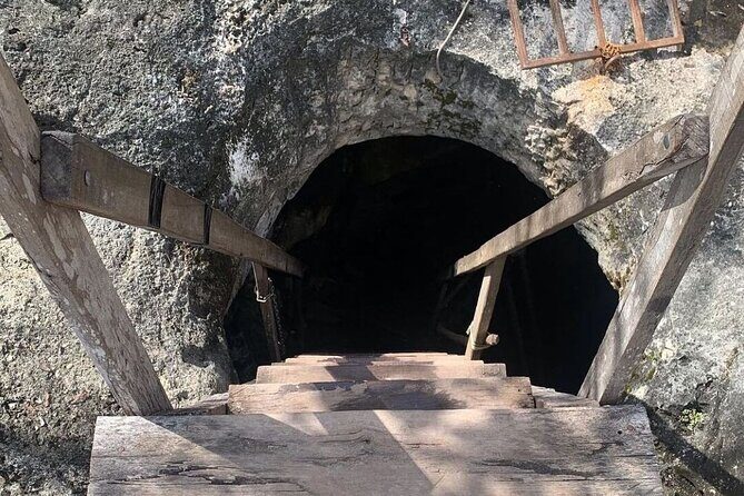 4 different cenotes with food from Merida - Why Choose This Tour?