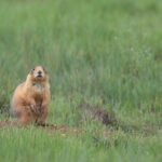 4-Hour, 5-seat ATV Rental next to Bryce National Park - Final Thoughts