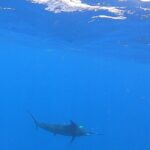 4 Hour Costa Maya Fishing and Snorkeling Experience - Exploring the Itinerary in Detail