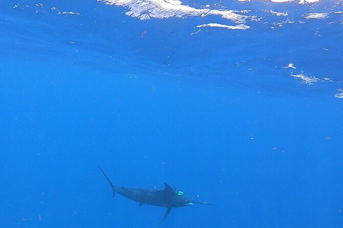 4 Hour Costa Maya Fishing and Snorkeling Experience - Exploring the Itinerary in Detail