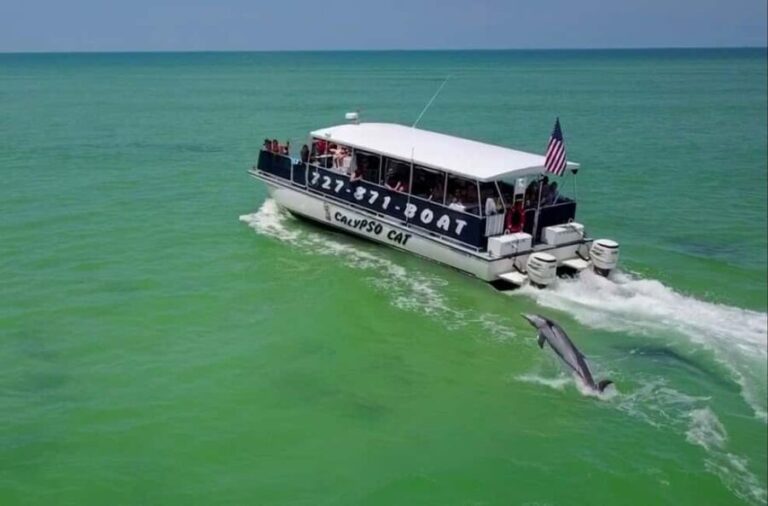 4 Hour Egmont Key Island Tour With Dolphins & Snorkeling - The Practical Side: What You Need to Know