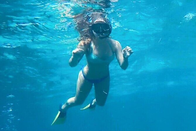 4 Hour Egmont Key Island Tour With Dolphins & Snorkeling Included - Authentic Experiences from Reviewers