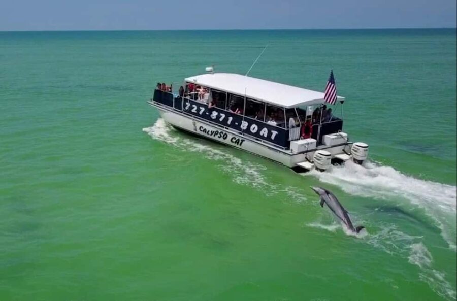 4 Hour Egmont Key Island Tour With Dolphins & Snorkeling - The Practical Side: What You Need to Know