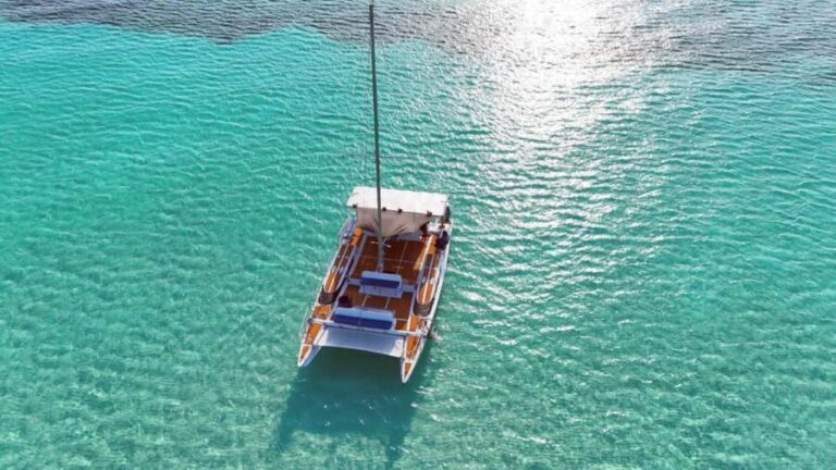 4 Hour Turtle Sanctuary Experience on a Luxury Catamarán - A Detailed Look at the Itinerary and Highlights