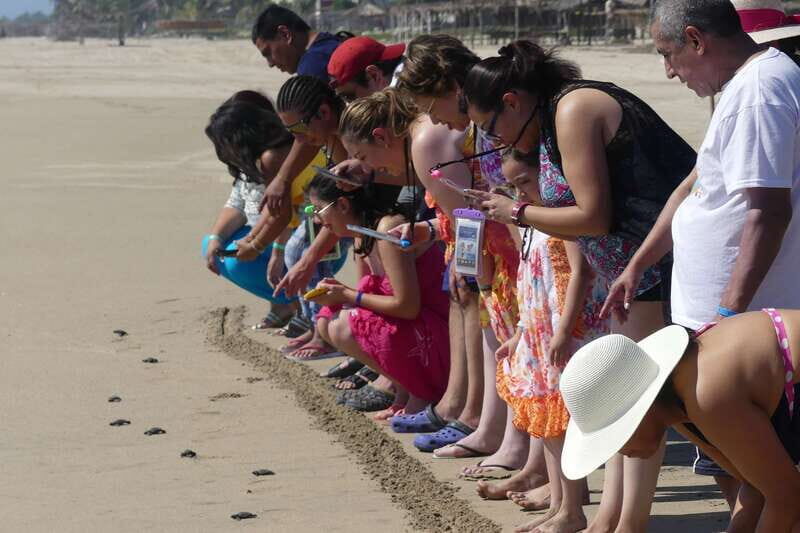 *4 Hours Shore Excursion With Cruise Ship Terminal Pick Up. - The Value of a Guided Short Tour