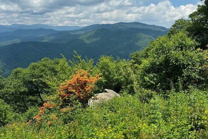 4 Hr Maggie Valley Slingshot Automatic Rental - Practical Details & Considerations