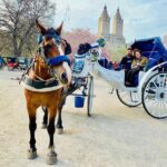 45 min Long VIP Central park carriage ride - Price and Value: Is It Worth It?