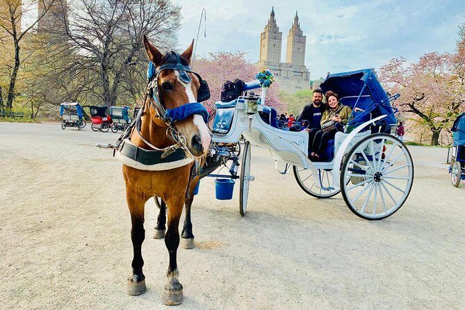 45 min Long VIP Central park carriage ride - Price and Value: Is It Worth It?