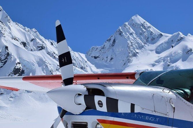 45-Minute Glacier Highlights Ski Plane Tour from Mount Cook - Who Should Book This Tour?