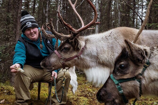 45 Minute Private Reindeer Tour - Who Should Consider This Tour?