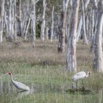 45 Minutes Private Tour at Warrawindi Farms - The Value of the Tour