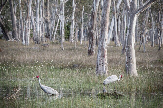 45 Minutes Private Tour at Warrawindi Farms - The Value of the Tour