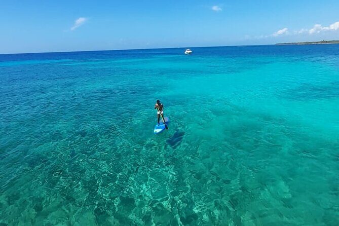 4H Lux 40' Catamaran All-Inclusive in Tulum and Playa del Carmen. - What Makes This Tour Stand Out