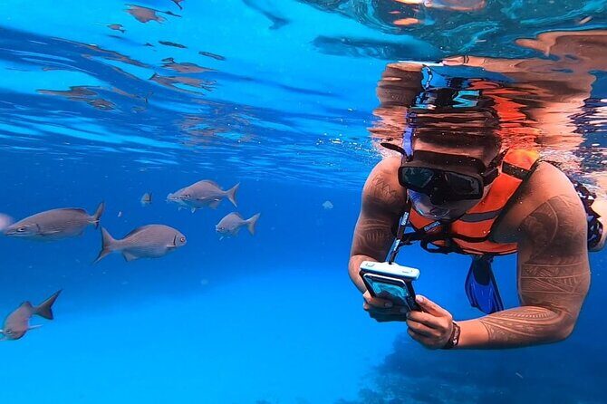 4H Luxury 44' Catamaran All-Inclusive in Tulum & Playa del Carmen - Setting Sail: What to Expect from the Itinerary