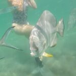 4H Snorkeling and Fishing Cruise on Magnetic Island - Authentic Insights from Reviews