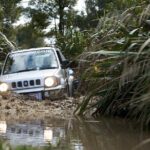4WD Bush Safari at Off Road NZ - Pricing and Value