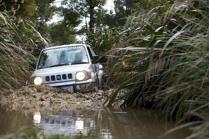 4WD Bush Safari at Off Road NZ - Pricing and Value