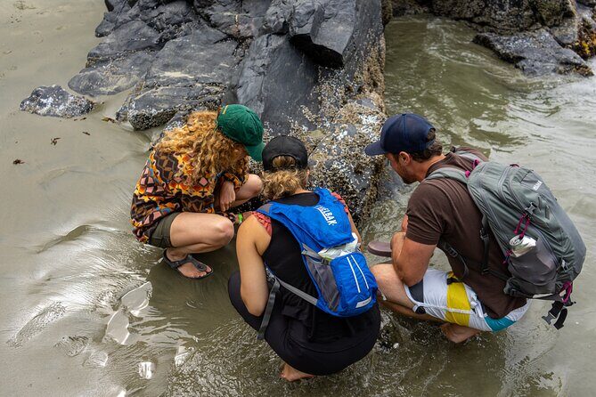 5-Day Adventure Tour in Vancouver Island Exploration - Day 3: West Coast Wonders