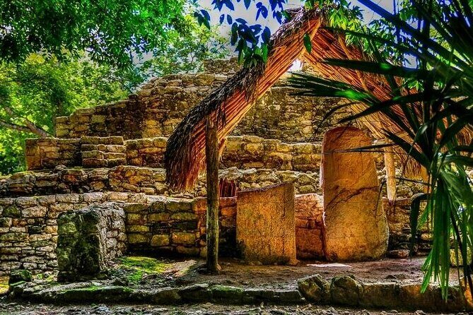 5-Day Riviera Maya and Yucatan Tour, Mexico - Who Should Consider This Tour?