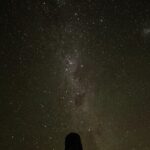 5 Day South Island Tour from Queenstown including Stewart Island - Key Points