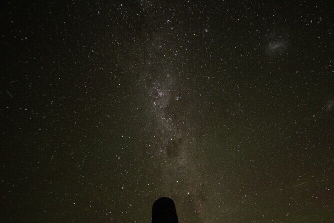 5 Day South Island Tour from Queenstown including Stewart Island - Key Points