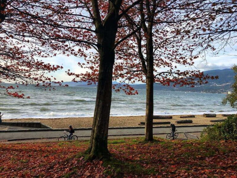 5 Days of Adventure in Vancouver Activities-Only Tour - What Makes This Tour Stand Out