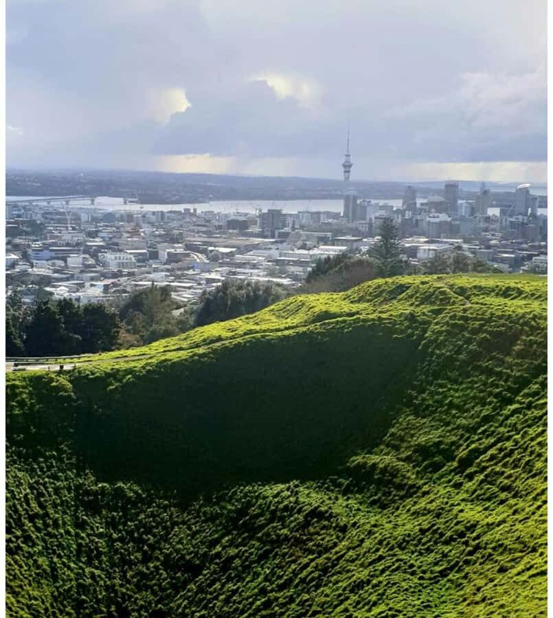 5 Hour City Excursion Unveiling Auckland's Treasures W Guide - The Experience in Detail