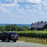 5 Hour Historic Thomas Jefferson Wine Tour - Jefferson Vineyards: The Birthplace of Virginia Wine