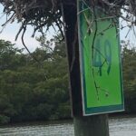 5 Hour Keewaydin Island Beach Tour - What You Can Expect from the Itinerary