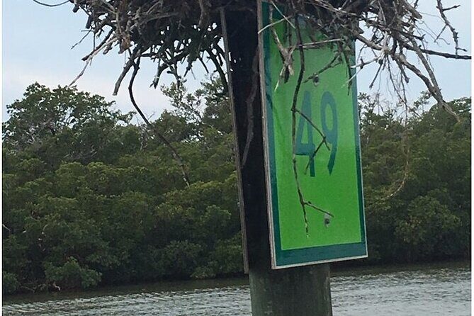 5 Hour Keewaydin Island Beach Tour - What You Can Expect from the Itinerary