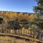 5 hours Winter Wonderland Guided Hike to Fullerton Loop - A Closer Look at the Fullerton Loop Winter Hike