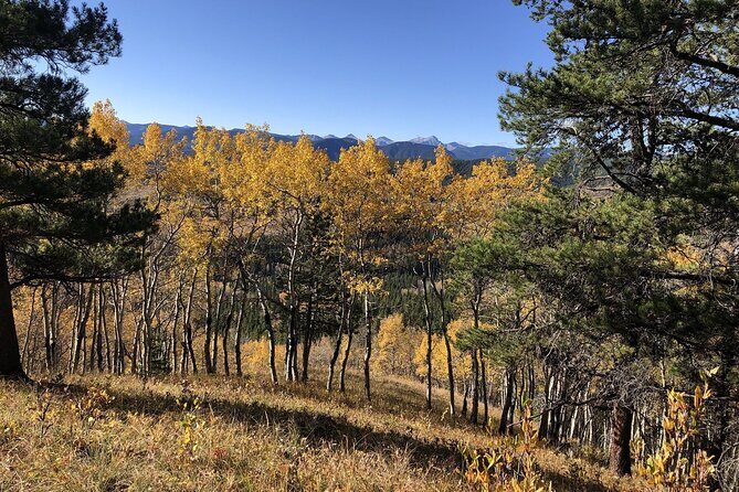 5 hours Winter Wonderland Guided Hike to Fullerton Loop - A Closer Look at the Fullerton Loop Winter Hike