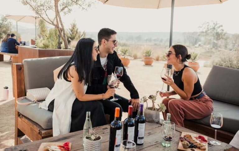 5 wines Tastings with Tour in Valle de Guadalupe Winery - Why This Tour Works Well