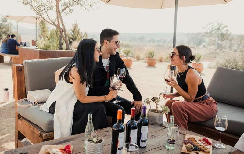 5 wines Tastings with Tour in Valle de Guadalupe Winery - Why This Tour Works Well