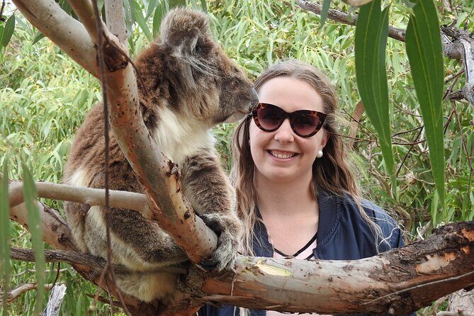 6-Day Eyre Peninsula & Flinders Ranges Adventure Tour - Who Is This Tour Best For?