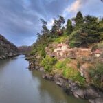 6-Days Discovery Tour of Tasmania - Comfort Style - What’s Included and What You Should Know