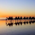 6 Days Kimberley Expedition Tour in Broome - What Makes This Tour Stand Out?