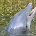 6 Hour Florida Keys Fishing Charter - What’s Included and What to Bring