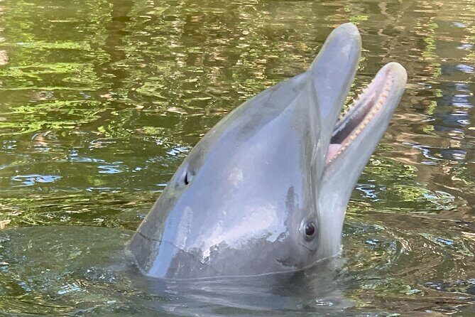 6 Hour Florida Keys Fishing Charter - What’s Included and What to Bring