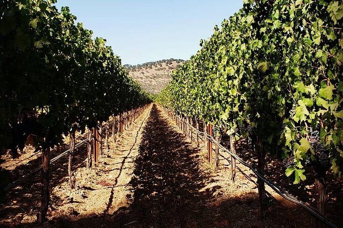 6-Hour Luxury Napa Wine Tasting Tour with Route Planning - Who Is This Tour Best For?
