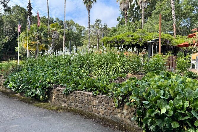 6 Hour Sonoma Boutique Wine Tour-Private Black Car,up to 6 Guests - Why This Tour Works So Well