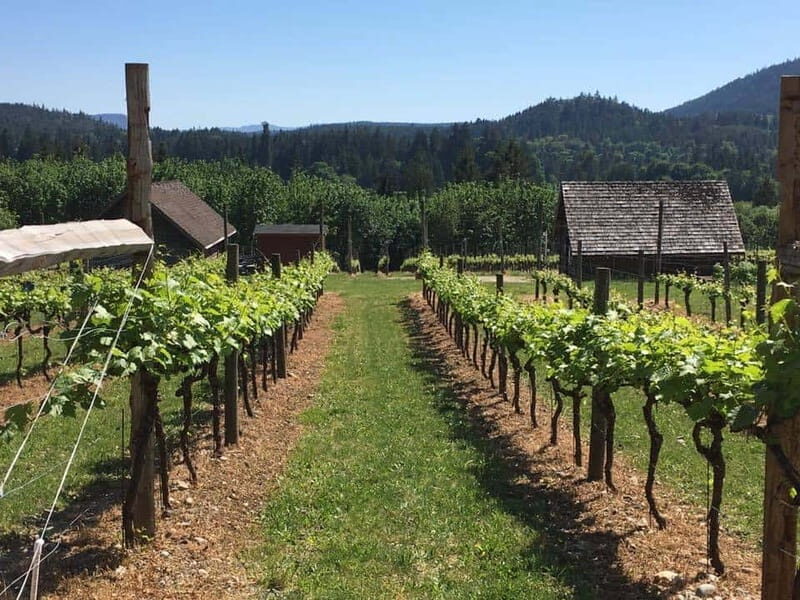 6-Hour Victoria to Cowichan Wine Tour - Practical Considerations and Tips