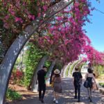 6 Hour Welcome to Brisbane Private Sightseeing Private Tour - Detailed Breakdown of the Itinerary