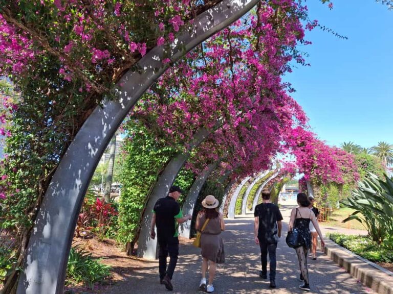 6 Hour Welcome to Brisbane Private Sightseeing Private Tour - Detailed Breakdown of the Itinerary