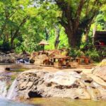 6 Hours Giant Zipline Adventure Park in Fiji - What Reviewers Loved Most