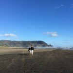 6 Hours Sightseeing Tour in Auckland - The Transport and Group Size