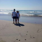 .6Hr Tour Diving Show Baby Turtle Release & All Attractions - The Experience: What to Expect